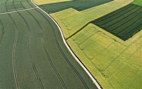 COMPANIES TO CONSULT ON LAND MATTERS. - Geoinfotech